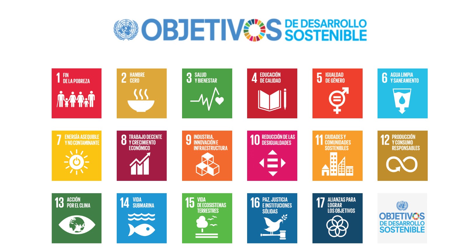 Distintivo S de Sostenibilidad turística | MARTIME